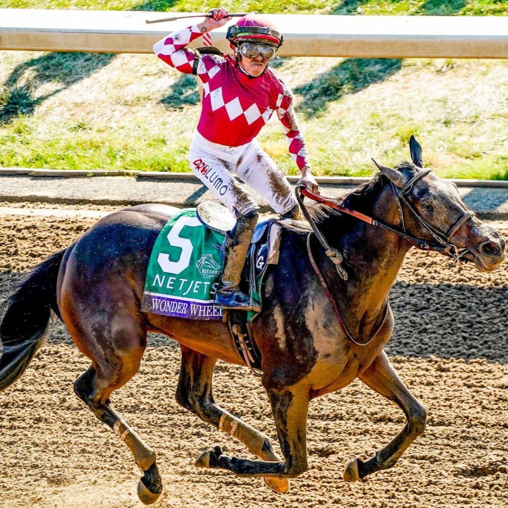 Latest Horse Racing News Today - jcsportsnews.com